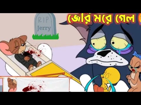 জেরি মূত্যর ঘটনা | Toman jari cartoon History #Cartoon_vadio - YouTube