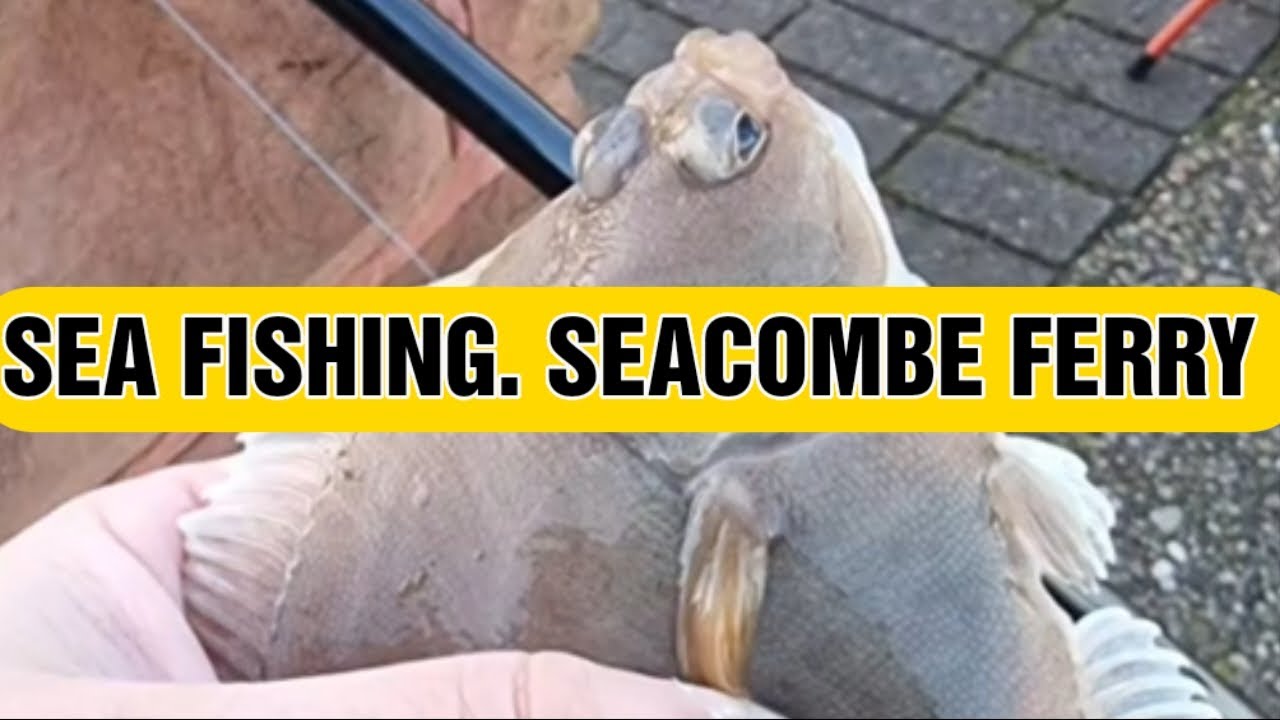 SEA FISHING. SEACOMBE FERRY. @reelfishing247 - YouTube