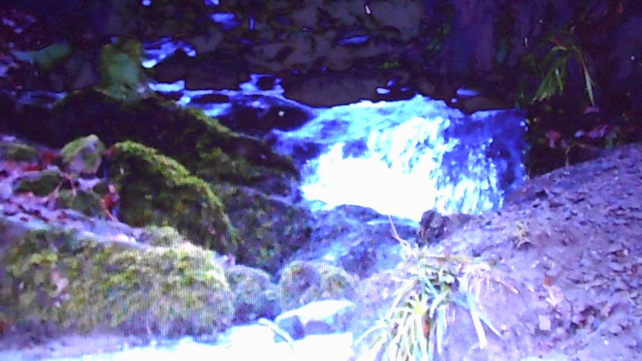 Spring Quiet - Christina Rossetti - YouTube