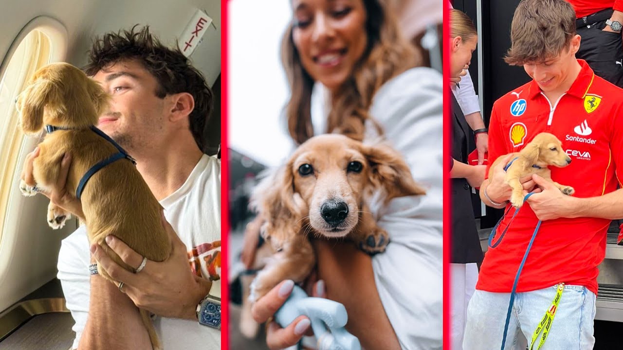 LEO Leclerc enjoying his Life after Charles WINS MonacoGP 2024 - YouTube