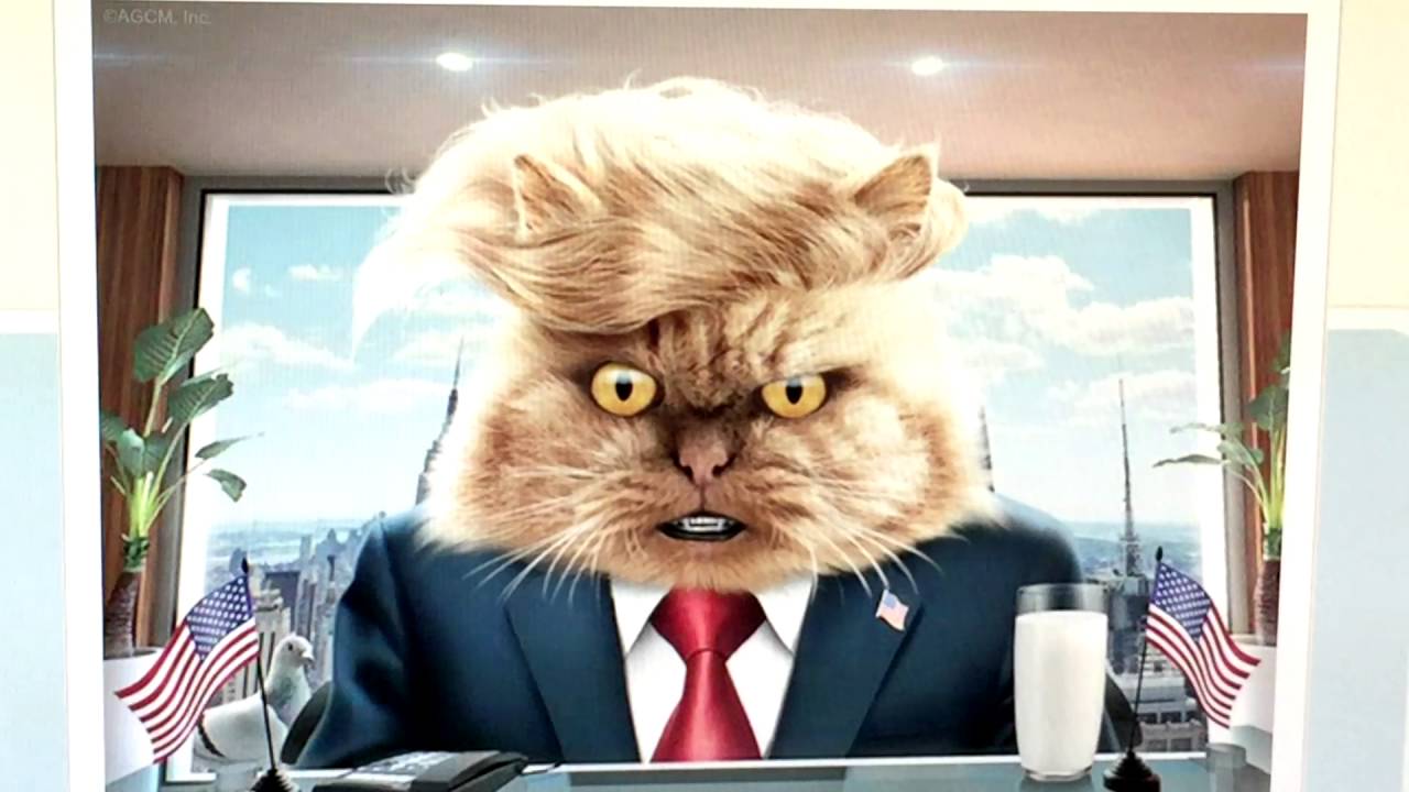 Donald Trump The Cat 4 President - YouTube