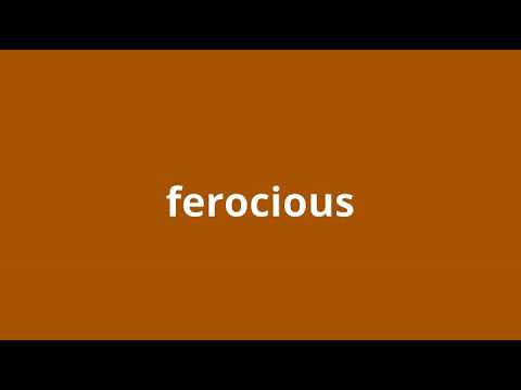what is the meaning of ferocious. - YouTube