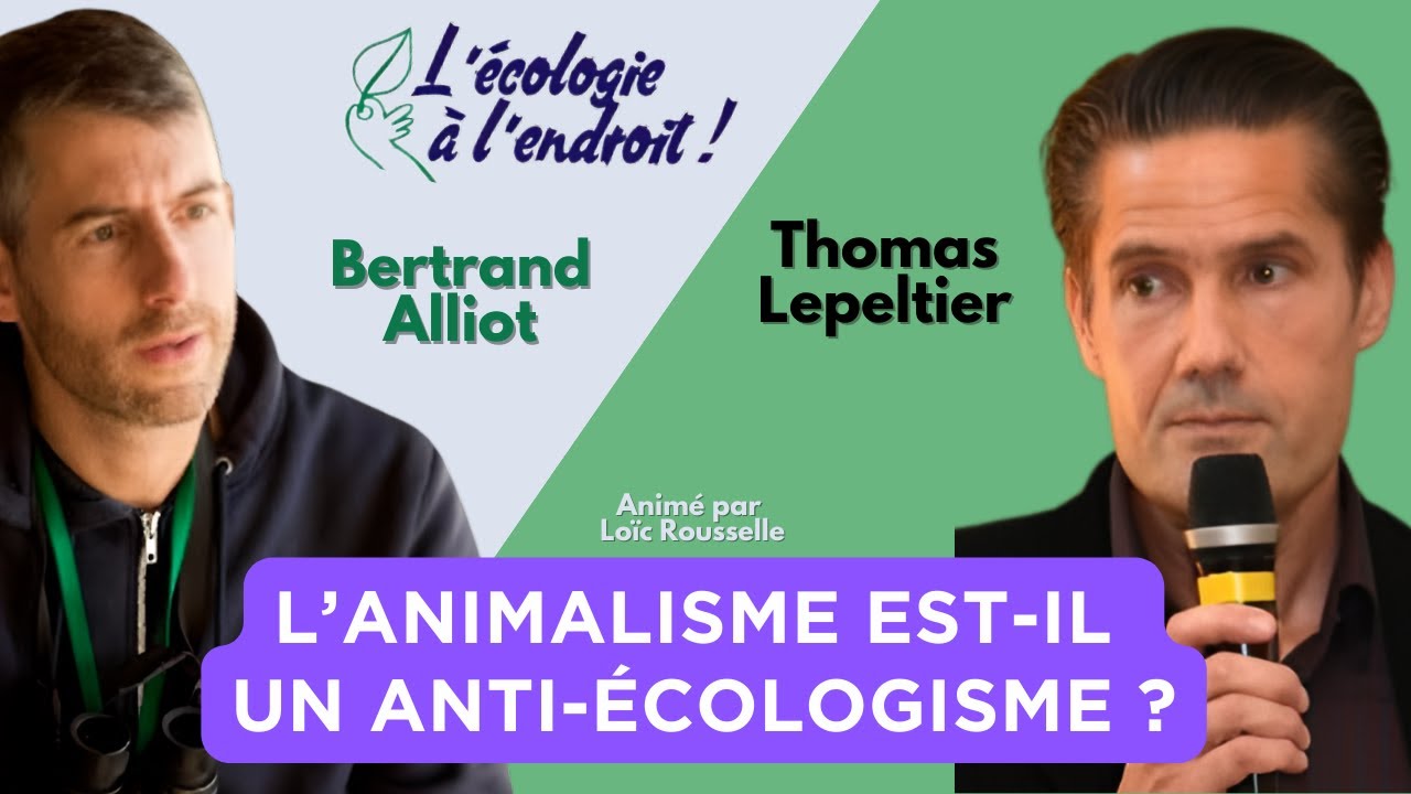 Thomas Lepeltier : L'animalisme est il un anti-écologisme ? - YouTube