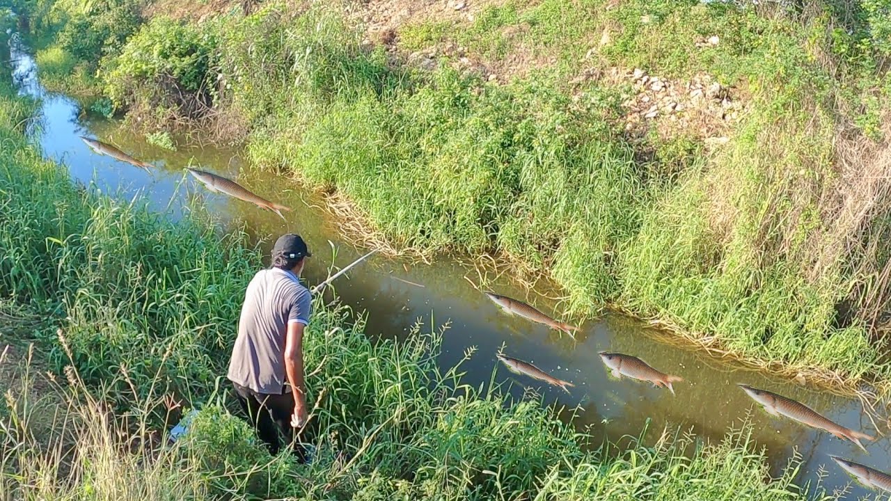Unbelievable😱 fishing | Catching fishes in an overflowing water lake ...