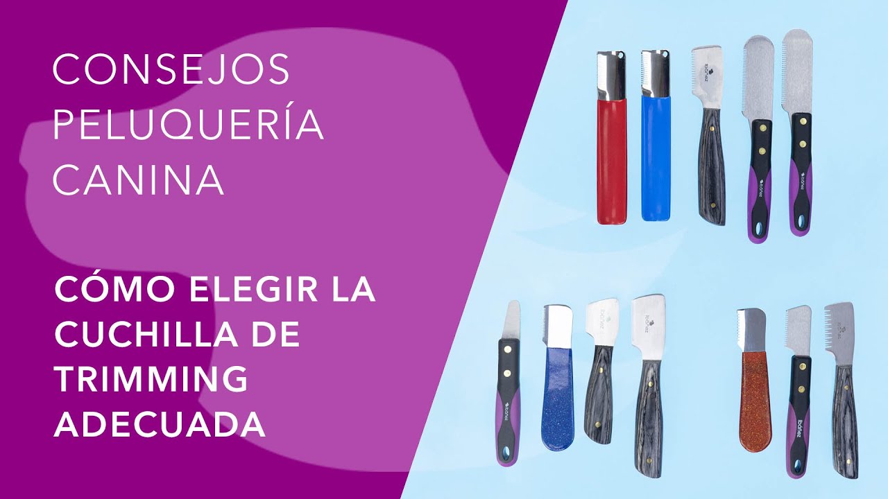CÓMO ELEGIR LA CUCHILLA DE TRIMMING ADECUADA PARA LA PELUQUERÍA CANINA ...