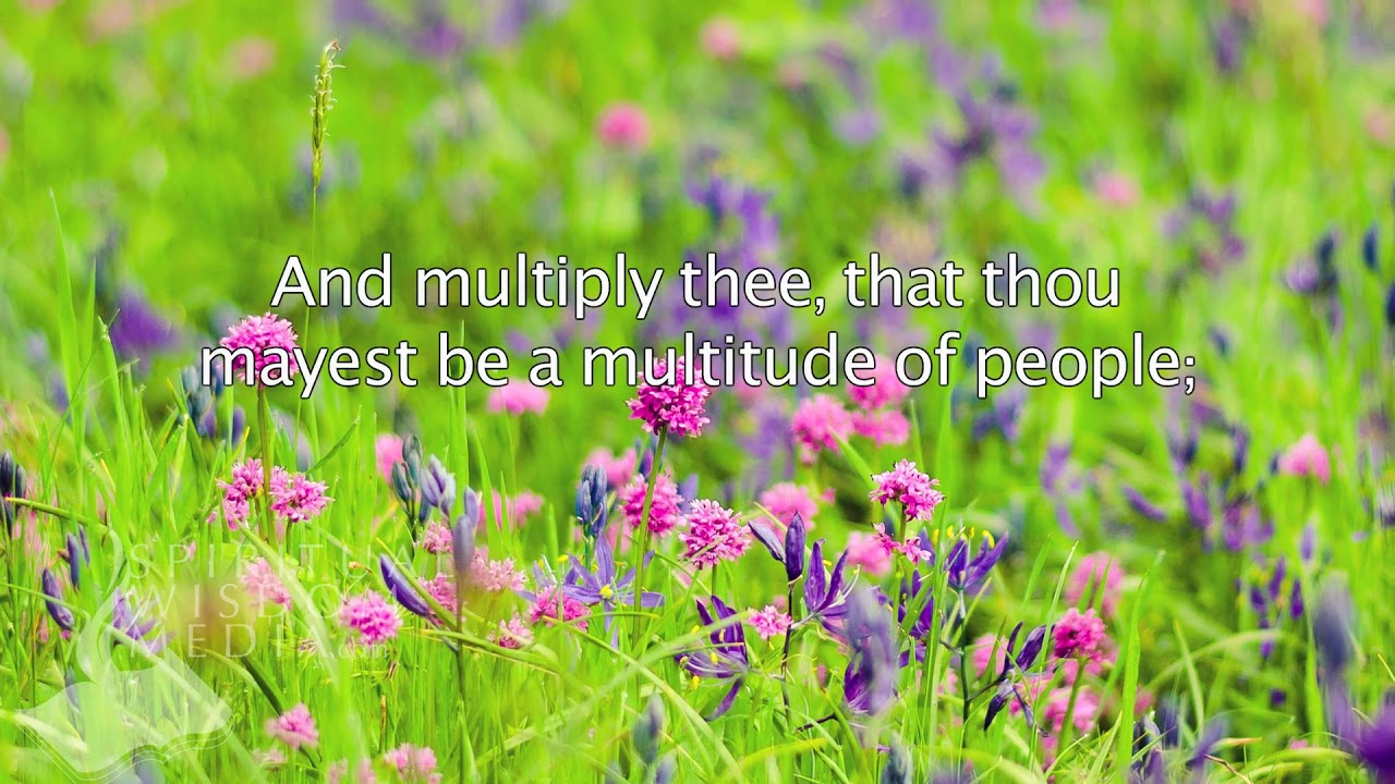 Genesis 28:3 - And God Almighty bless thee, and make thee fruitful, and ...