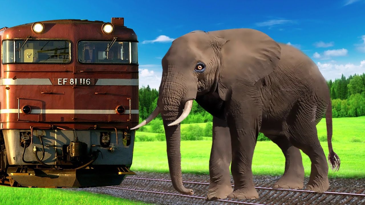 Elephant Meet the Hi speed Train - YouTube