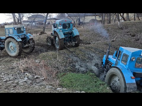 How to Get a T-40 Tractor Out of a Swamp? (Tense Moments).