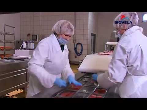 BIOVELA GROUP presentation - YouTube