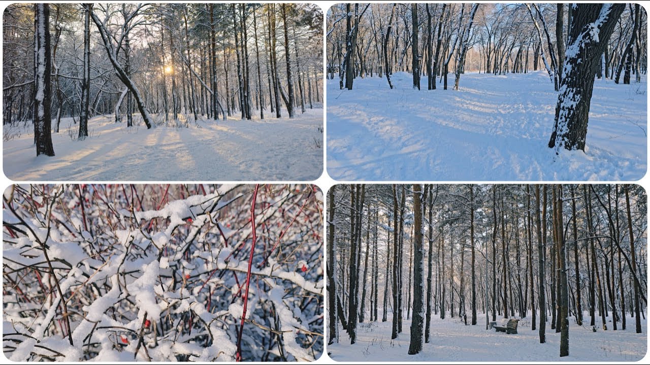 4K walking winter video with snow crunch sounds. Chelyabinsk, Russia. A ...