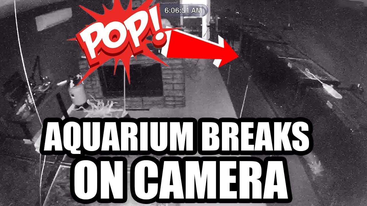 MY AQUARIUM EXPLODED!! - YouTube