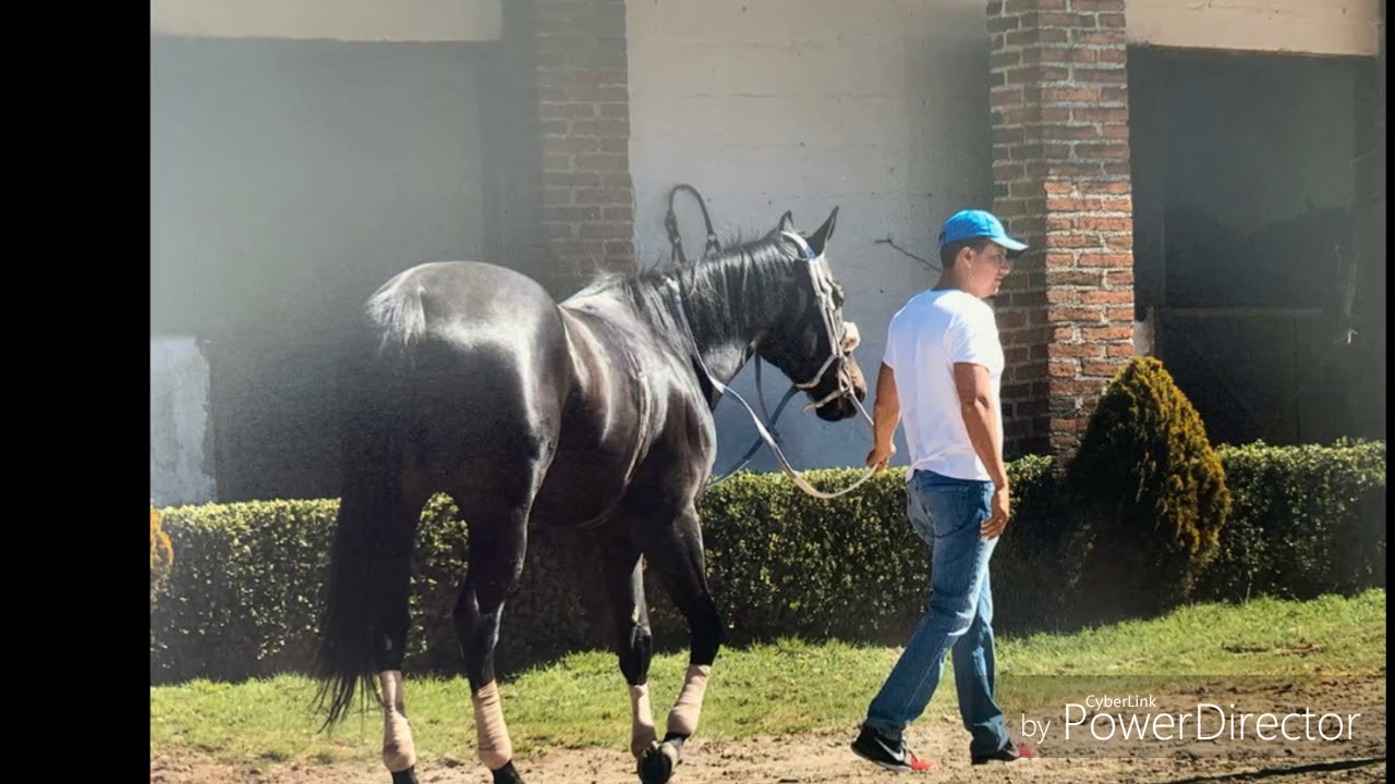 Joaquin Ramón Pelaez Cortés - YouTube