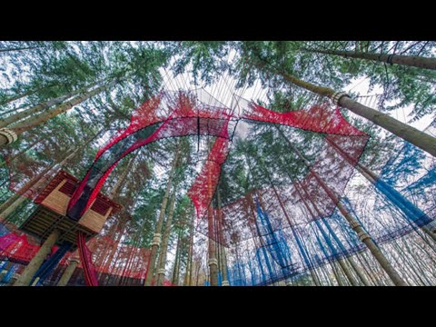 BACK AT THE NEW ZIP WORLD TREE TOP NETS! (INSANE) - YouTube
