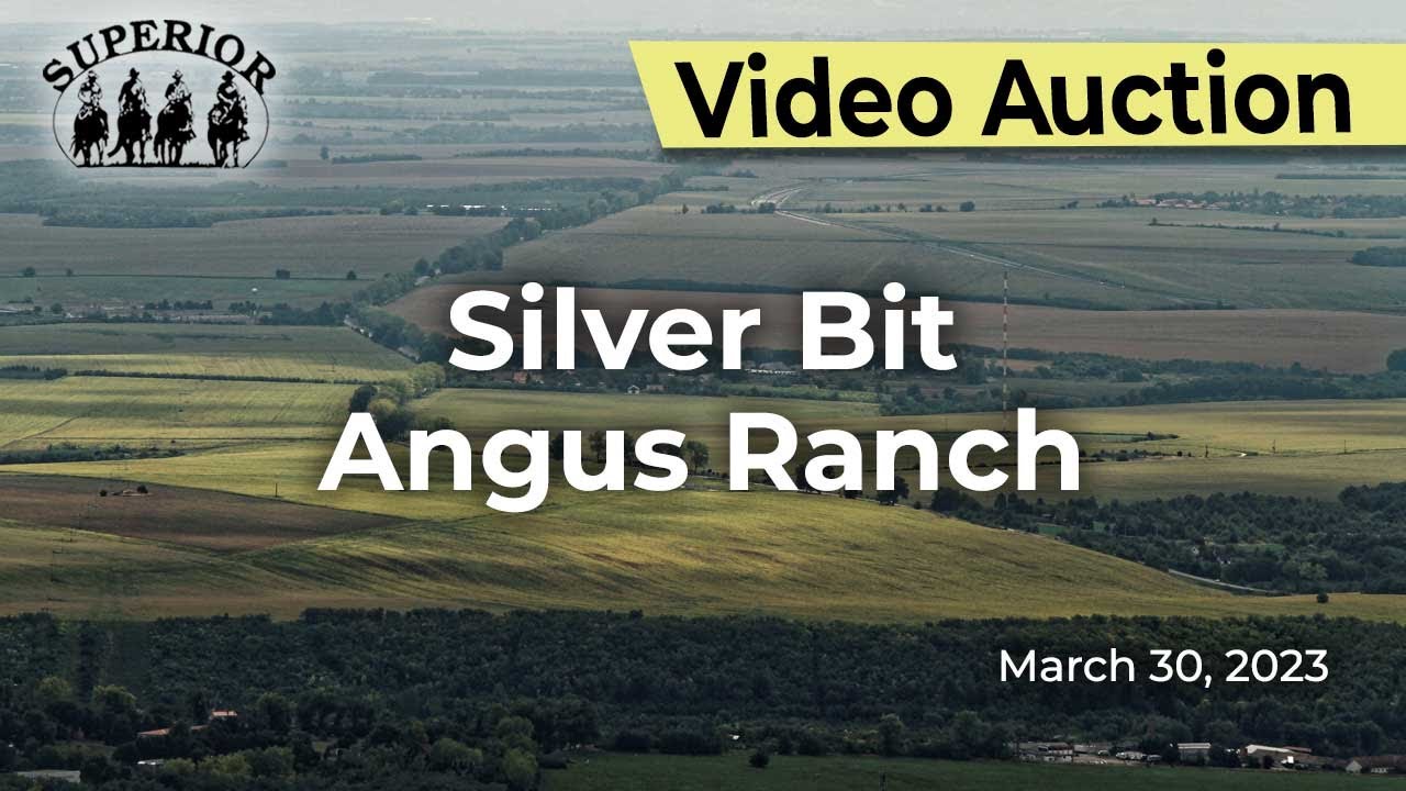 Silver Bit Angus Ranch - YouTube