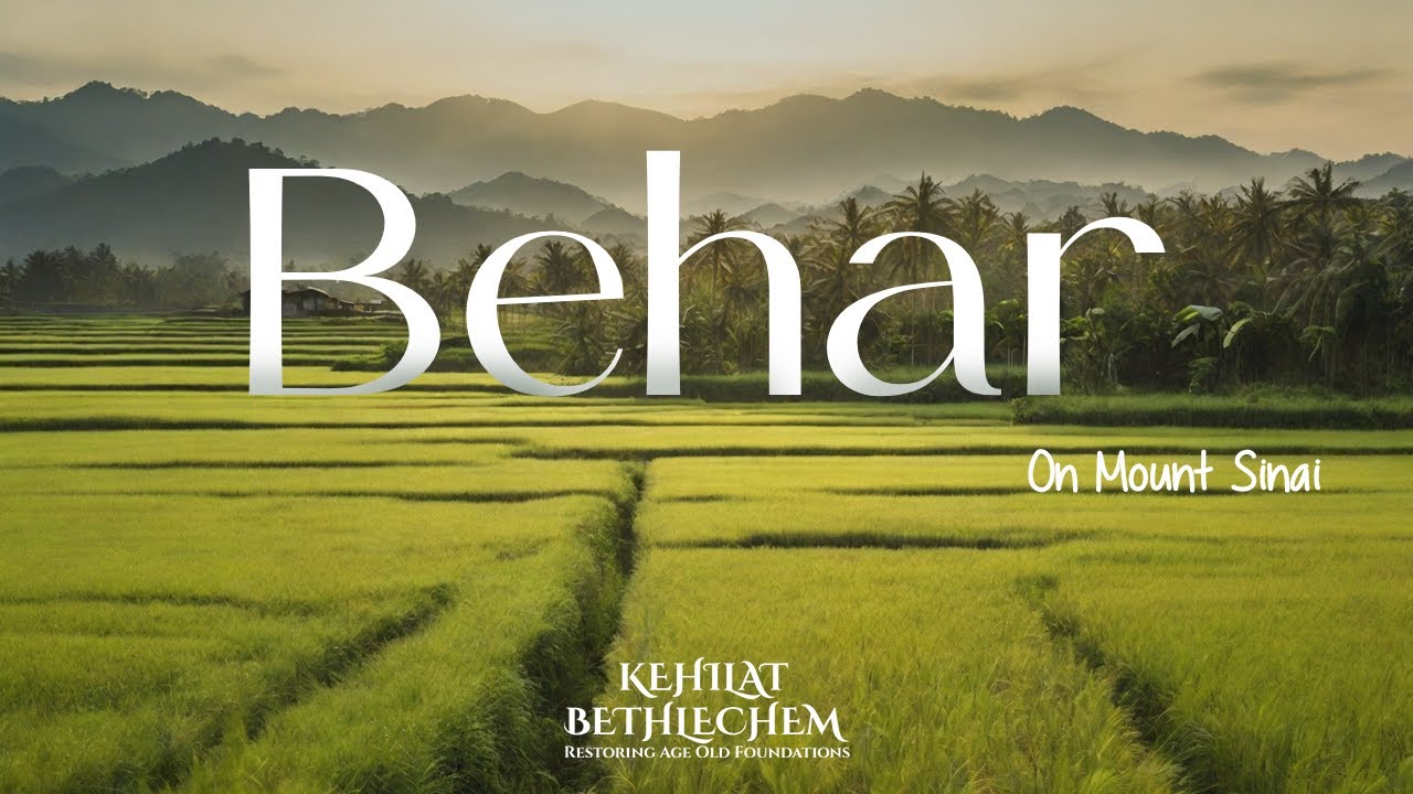 Torah Portion | Behar - בְּהַר | On Mount Sinai - YouTube