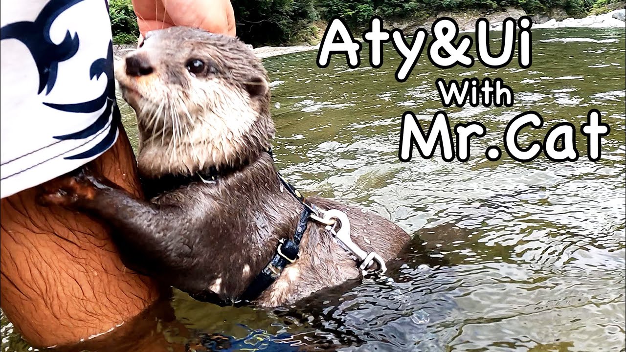 Aty, who is a little bit curious about Ui, and Ui, who is crazy about ...