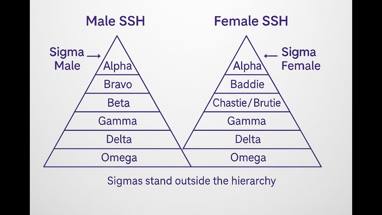 Introduction to the Socio-Sexual Hierarchy - YouTube