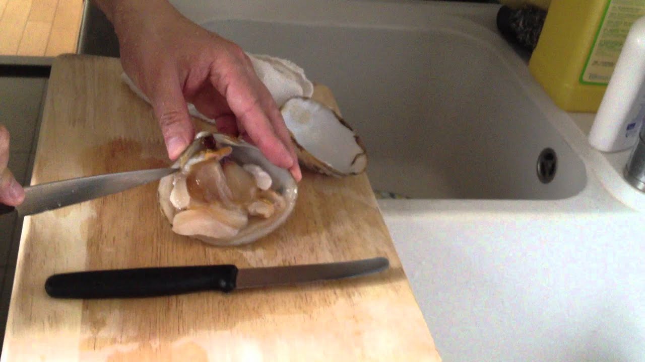 how to open surfclam draft - YouTube