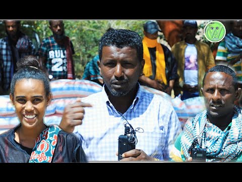 TDF#4 - ፍሉይ ቆላሕታ ንውጉኣት ኣባላት ሰራዊት ትግራይ - ዓብዪ ዓዲ!! - YouTube