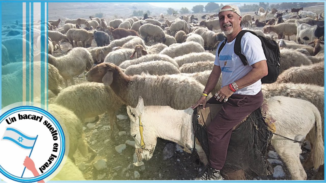 Los pastores en la Tierra de Israel a la luz de toda la Biblia - YouTube