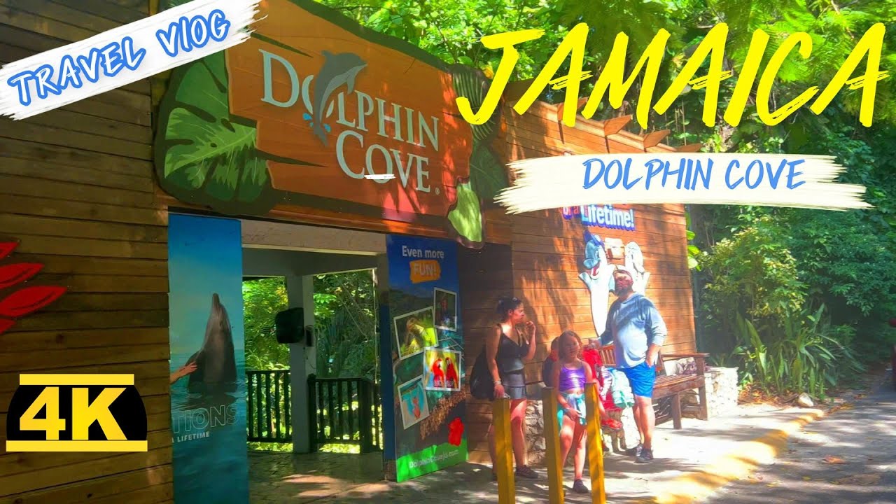 Enjoying a Beautiful Walk in Jamaica, Ocho Rios - 1 Hour Country Road ...