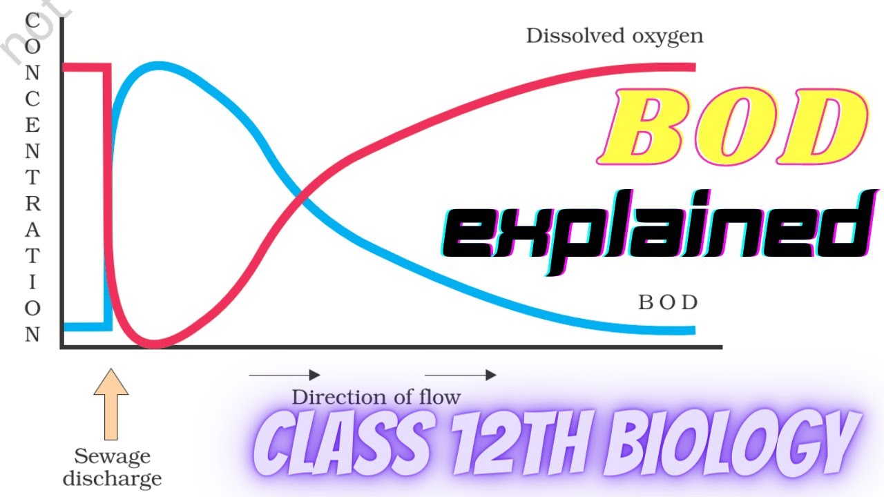 Part- 3 Environmental issues||Biochemical oxygen Demand(BOD)||Water ...