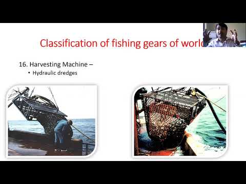 Classification of Fishing Gear of World Part-4 by Dr. Abhishek Kumar ...