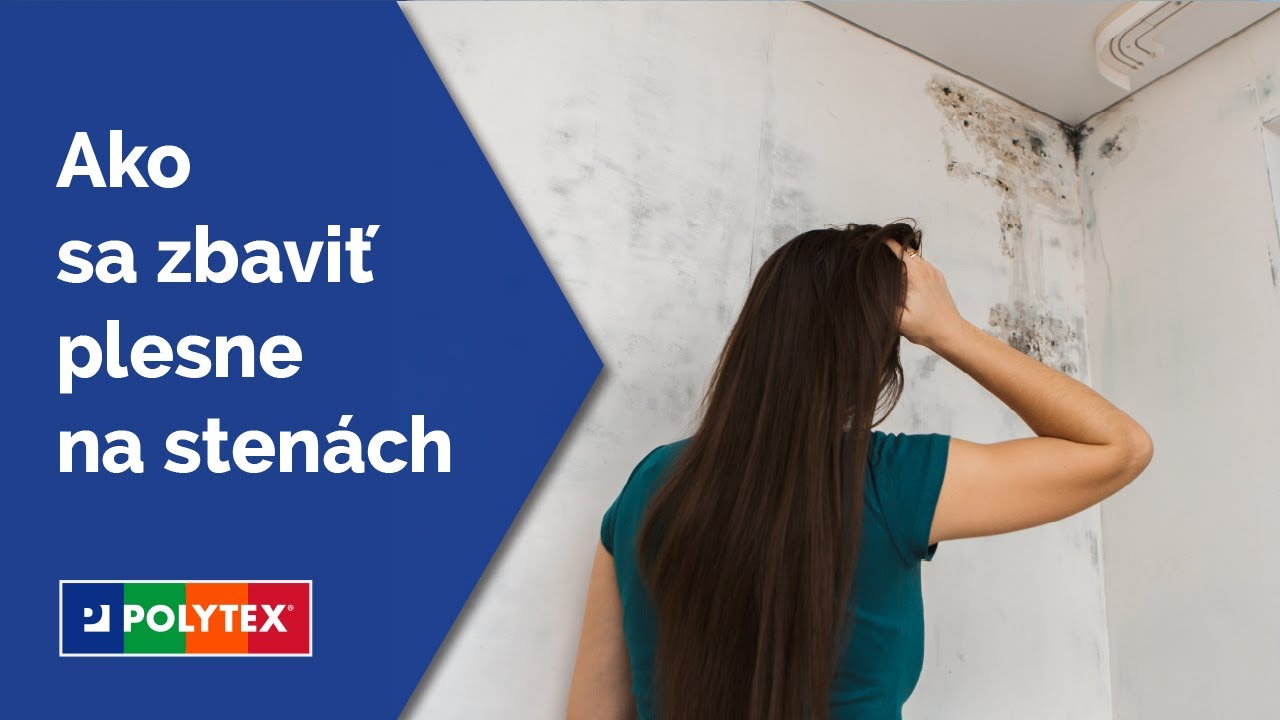 Ako sa zbaviť plesne na stenách v interiéri - jednoduchý návod ako ...