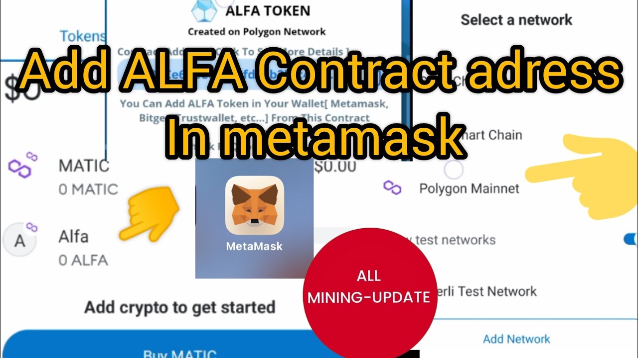 ALFA NETWORK UPDATE ️ How to add ALFA Contract adress in metamask or ...