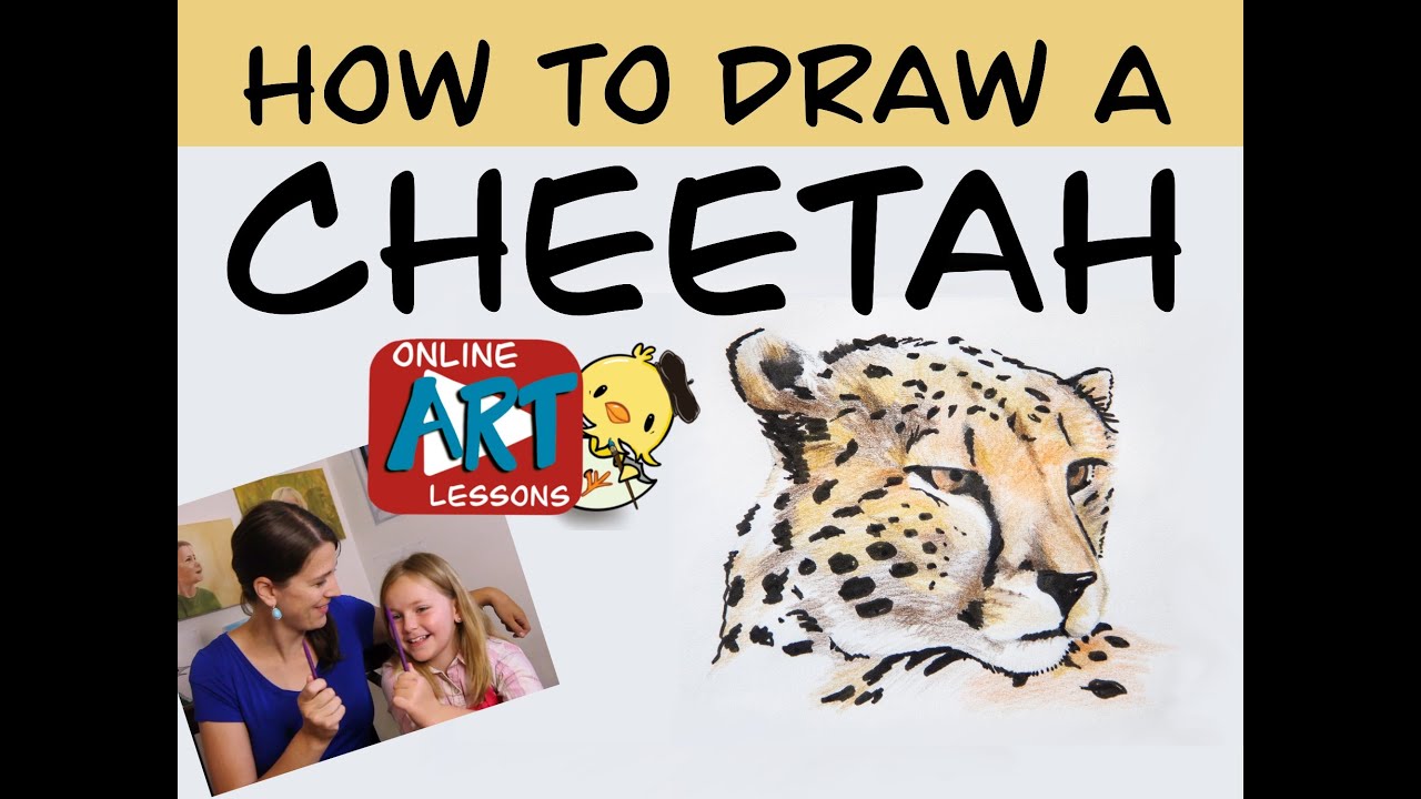 How to draw a cheetah - Little Hatchlings Art Lessons - YouTube