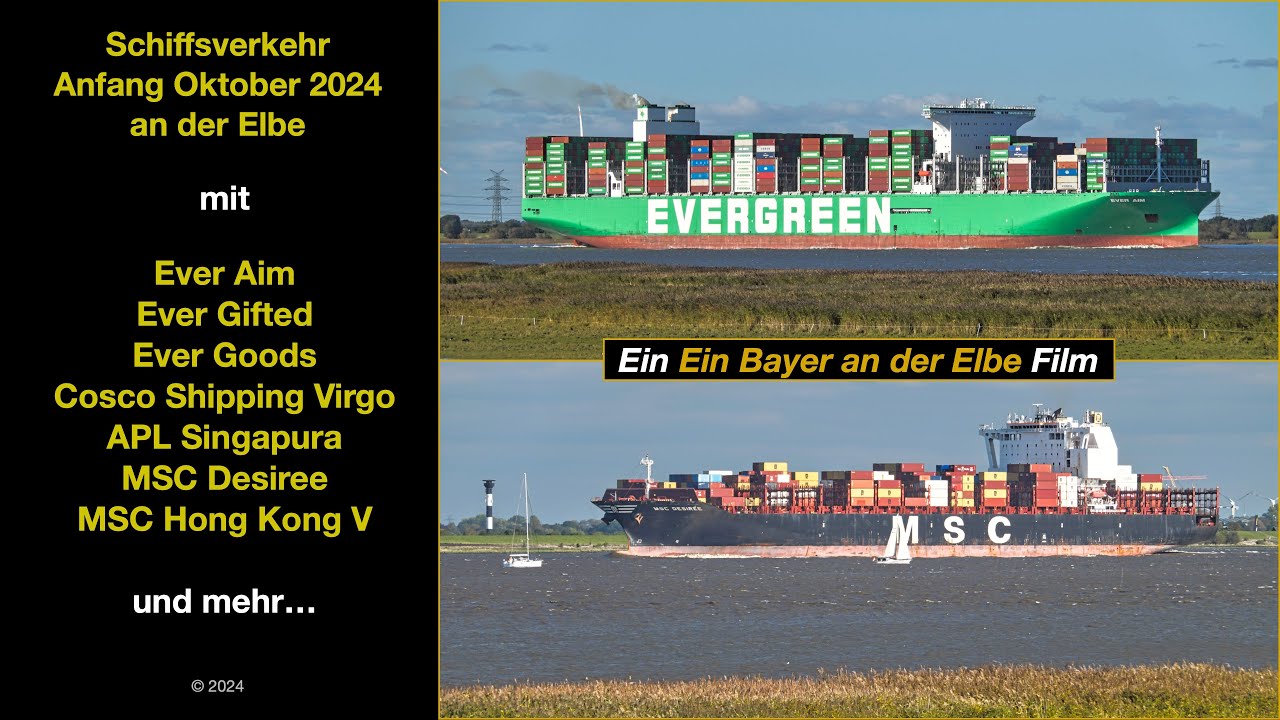 Schiffe Anfang Oktober 2024 an der Elbe bei Freiburg! Mit Ever AIM, MSC ...