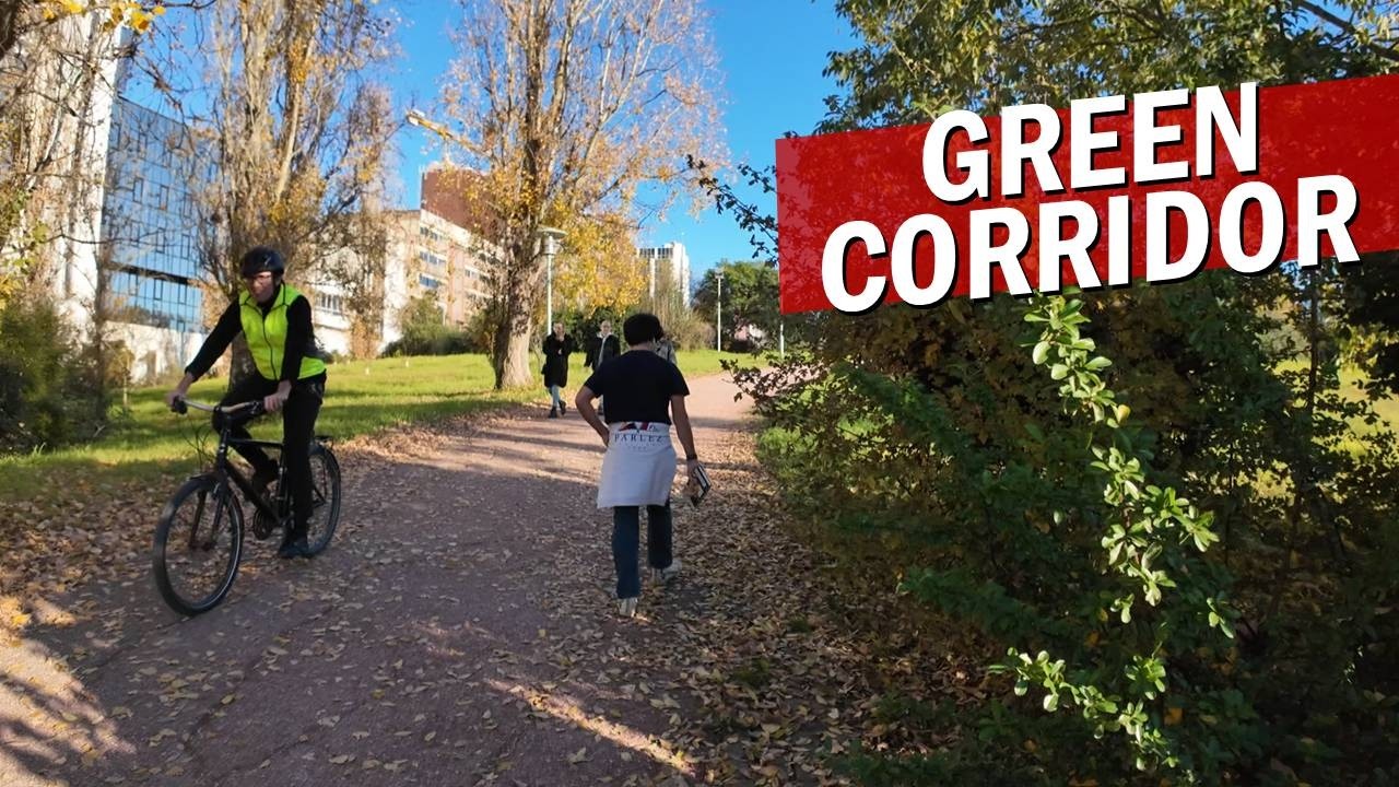 Lisbon Hike 🌳 The Green Corridor: Monsanto - YouTube
