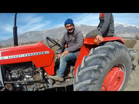 4 LÜ PULLUĞU RAHAT GÖTÜRÜYOR MASSEY FERGUSON 185