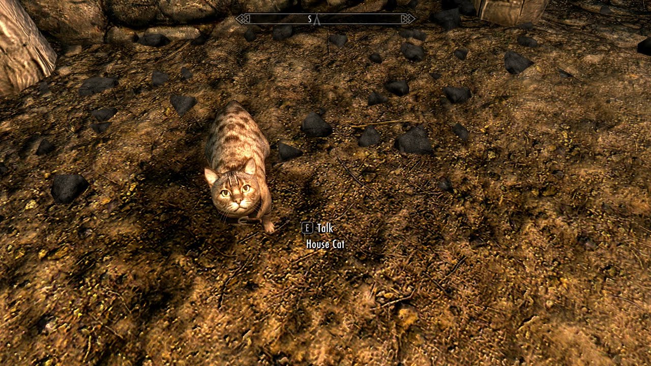SKYRİM SE Cats mod - YouTube