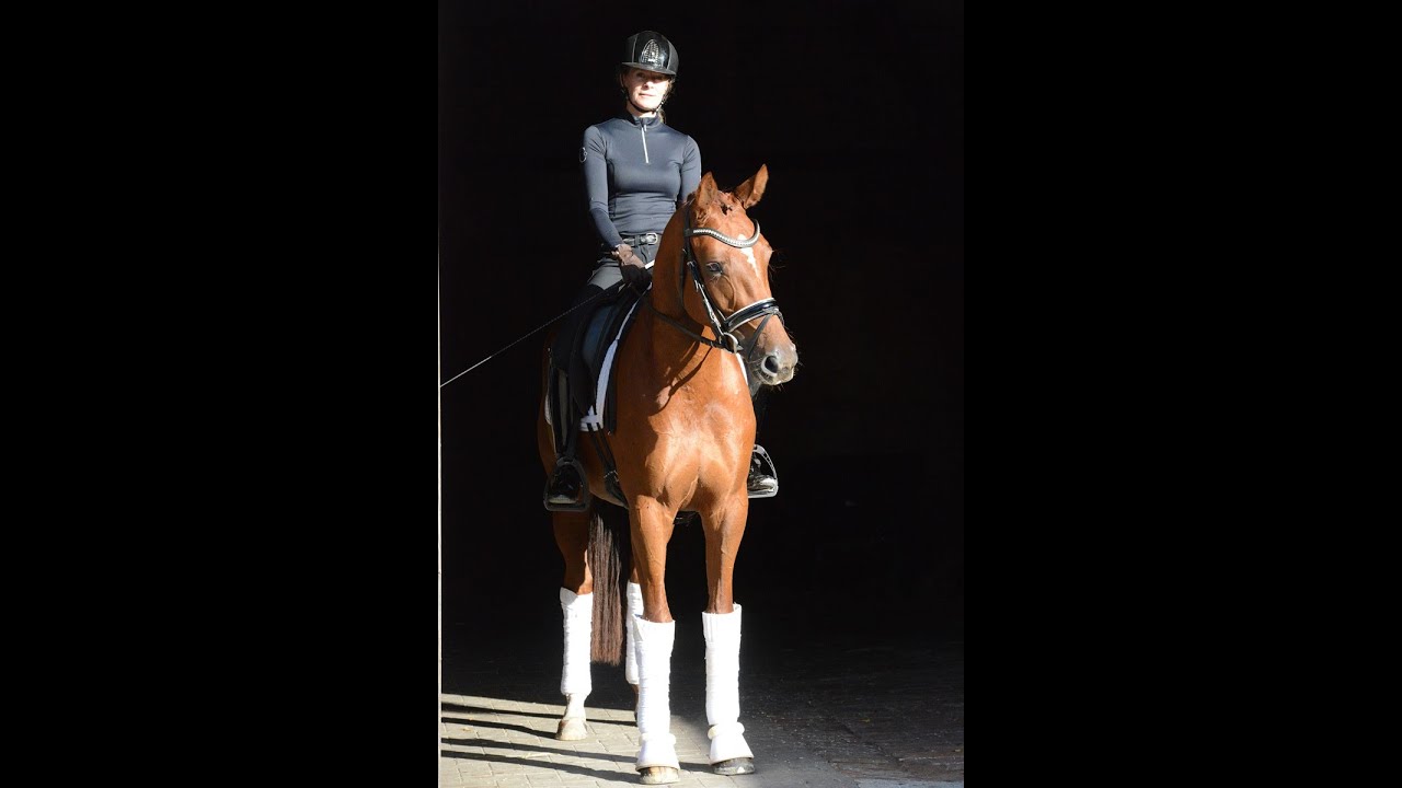 SOLD: FLEUR DE SEL *2019 Old Mare by Floriscount-Wolkenstein II - YouTube