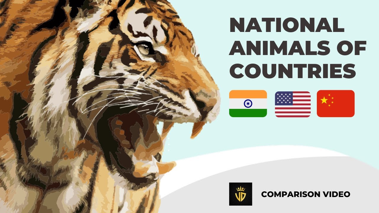 National Animals of Countries | Flags and Countries name With National ...
