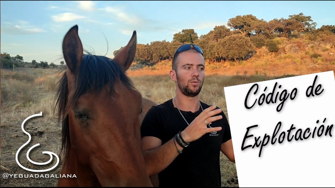 CÓMO conseguir tu CÓDIGO DE EXPLOTACIÓN (REGA) - YouTube