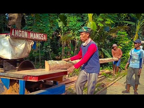 KERJA TIM MEMBELAH KAYU KELAPA DENGAN MESIB GERGAJI RAKITAN SARKEL