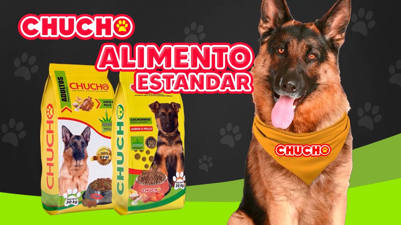 Chucho alimento para tu mascota. - YouTube