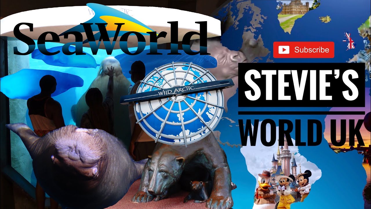 WILD ARTIC AT SEAWORLD ORLANDO - WALRUSES, BELUGA WHALES & HARBOR SEALS ...