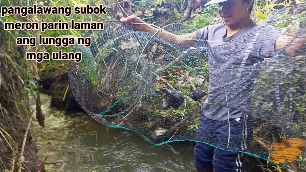 Binalikan Namin Ang Lungga Ng Mga Malalaking Ulang! - YouTube