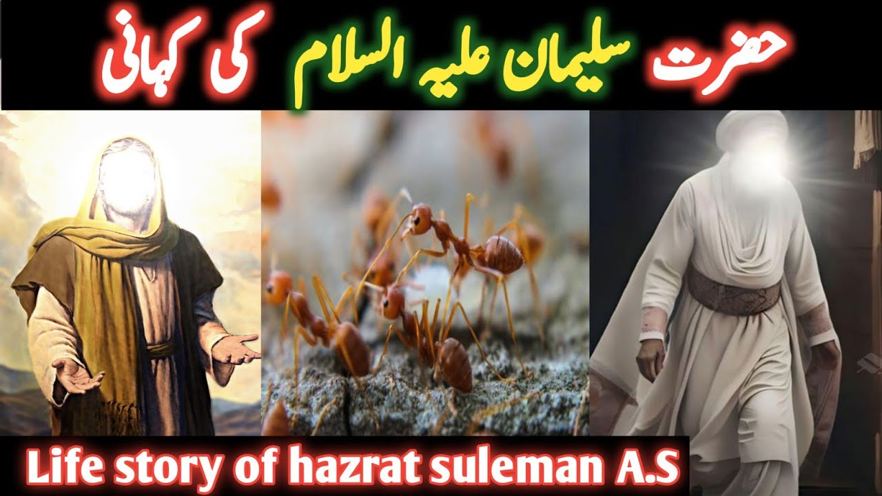 Life Story of prophet Suleman As | King Solomon story in Quran ...