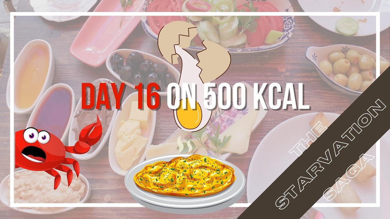 Will I SURVIVE? Too little food and no more GYM. Day 16 of Starvation # ...