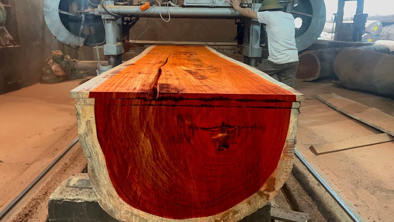 Discover The Mystery inside The Strange Red Wood Tree_The Most Modern ...