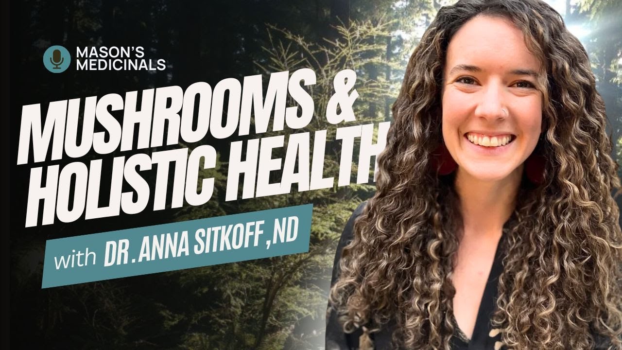 Links Between Mushrooms and Holistic Health - An Interview with Dr ...