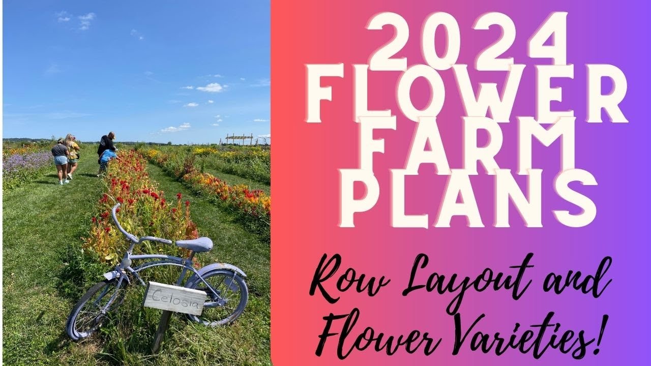Flower Farm Layout Plans for 2024! Cut Flowers - YouTube