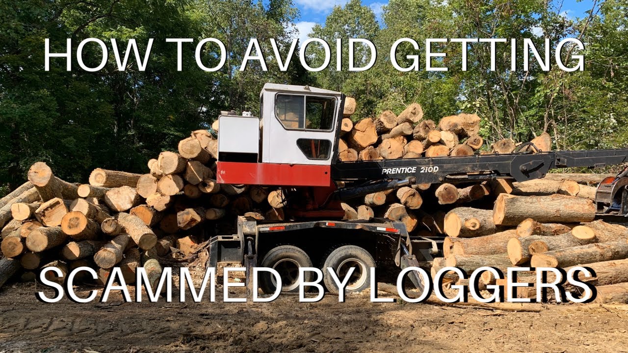 How to avoid getting scammed by loggers! - YouTube