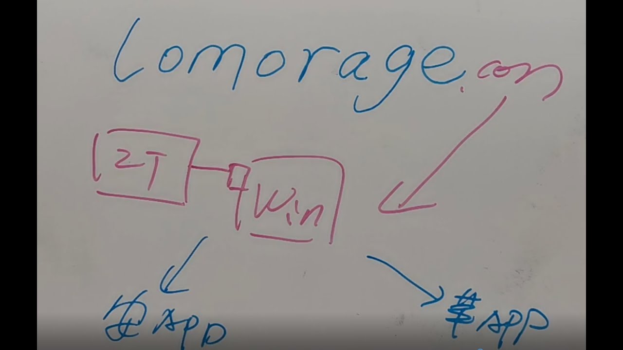 Lomorage在Windows上的安装与使用简单介绍 - YouTube