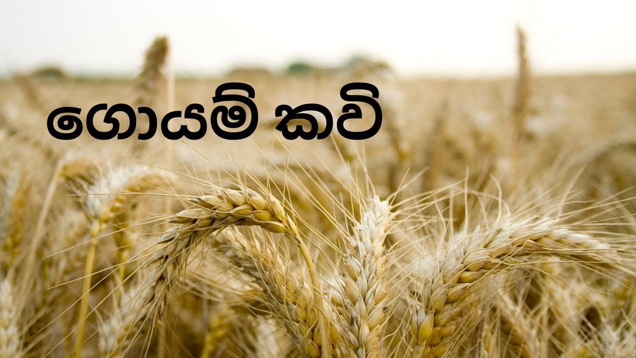 Goyam Kawi ගොයම් කවි | Waram Waram වරම් වරම් සක්‍ර මහ බඹු #GoyamKawi # ...