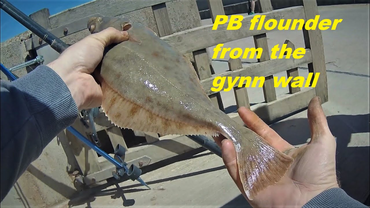 pb flounder fishing blackpool gynn wall high tide - YouTube